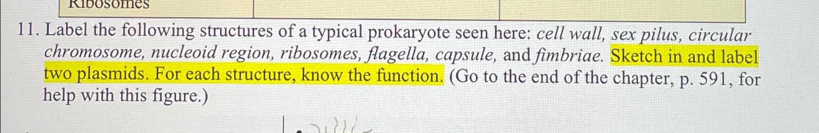 Solved Label the following structures of a typical | Chegg.com