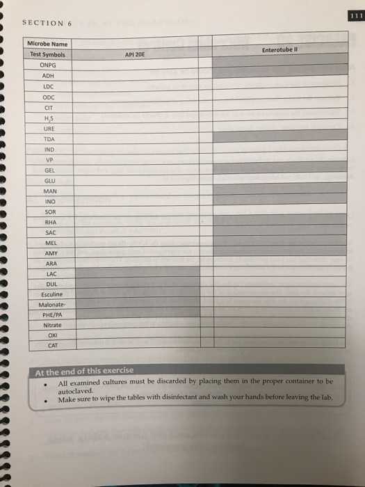 SECTION 6 Microbe Name Enterotube ! API 20E Test | Chegg.com