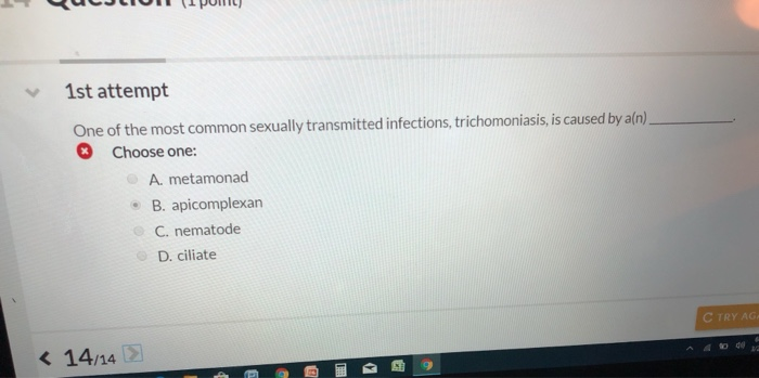 Solved 1st attempt One of the most common sexually | Chegg.com