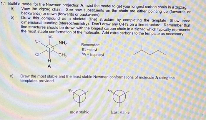 Solved 1.1 Build a model for the Newman projection A, twist | Chegg.com