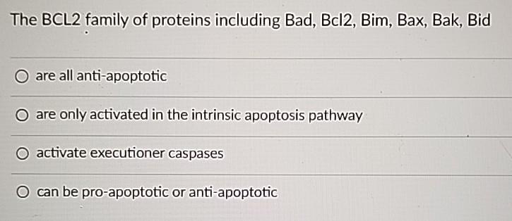 Solved The BCL2 ﻿family of proteins including Bad, Bcl2, | Chegg.com