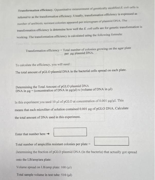 Solved Transformation efficiency, Qquantitative measurement | Chegg.com