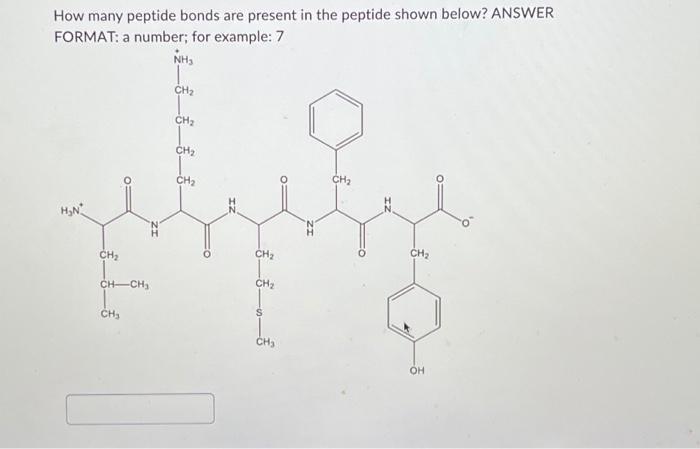 Solved How many peptide bonds are present in the peptide | Chegg.com