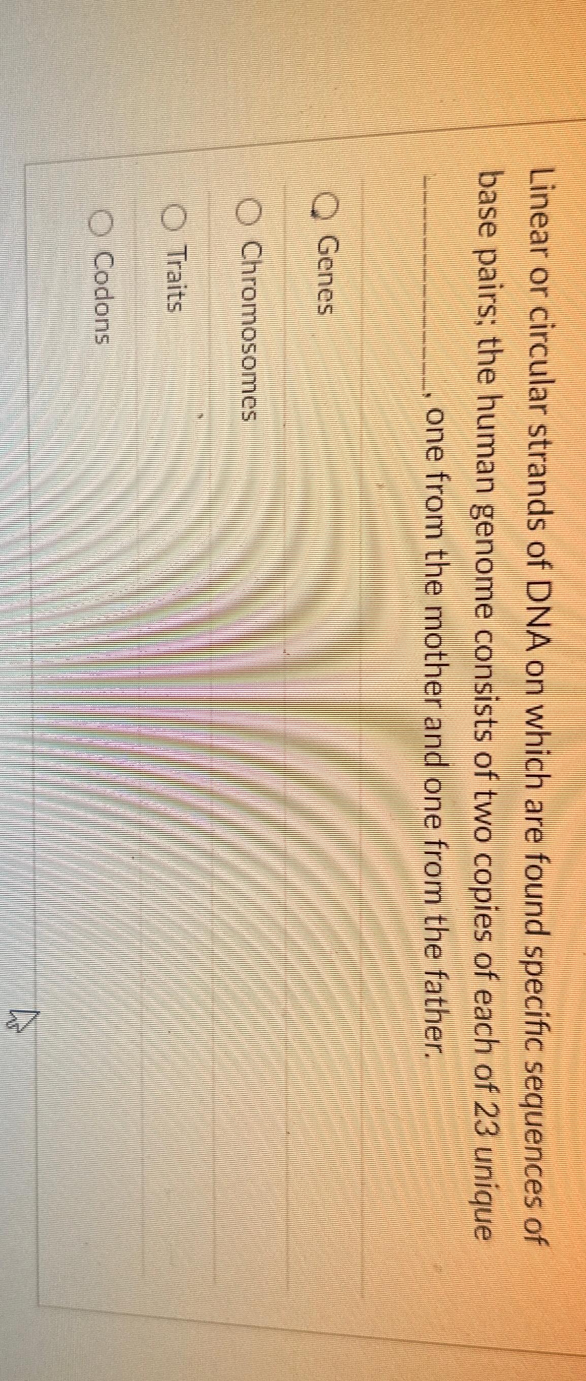 Solved Linear or circular strands of DNA on which are found | Chegg.com