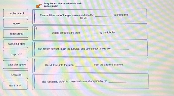 Solved Drag the text blocks below into their correct order. | Chegg.com