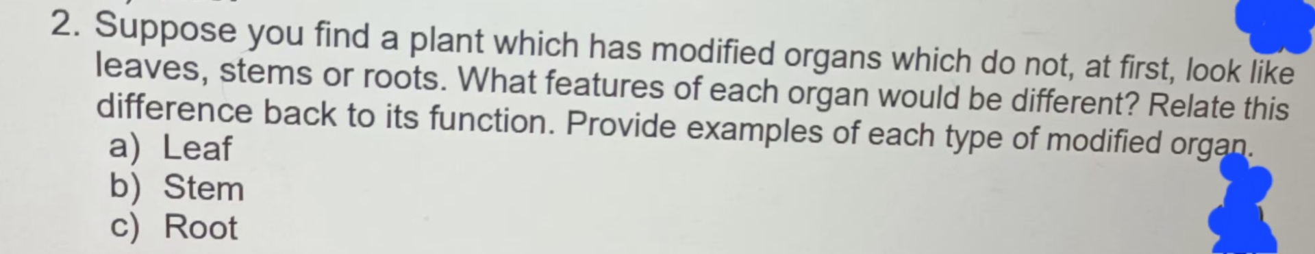 Solved Suppose you find a plant which has modified organs | Chegg.com