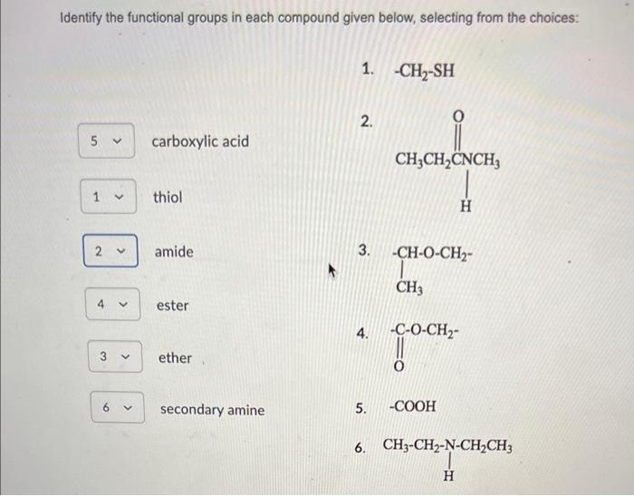 Solved Identify the functional groups in each compound given | Chegg.com