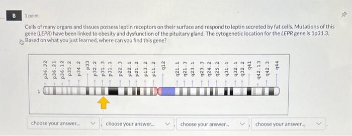 Solved Cells of many organs and tissues possess leptin | Chegg.com