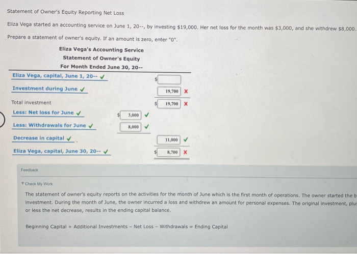 Solved Statement of Owner's Equity Reporting Net Loss Eliza | Chegg.com