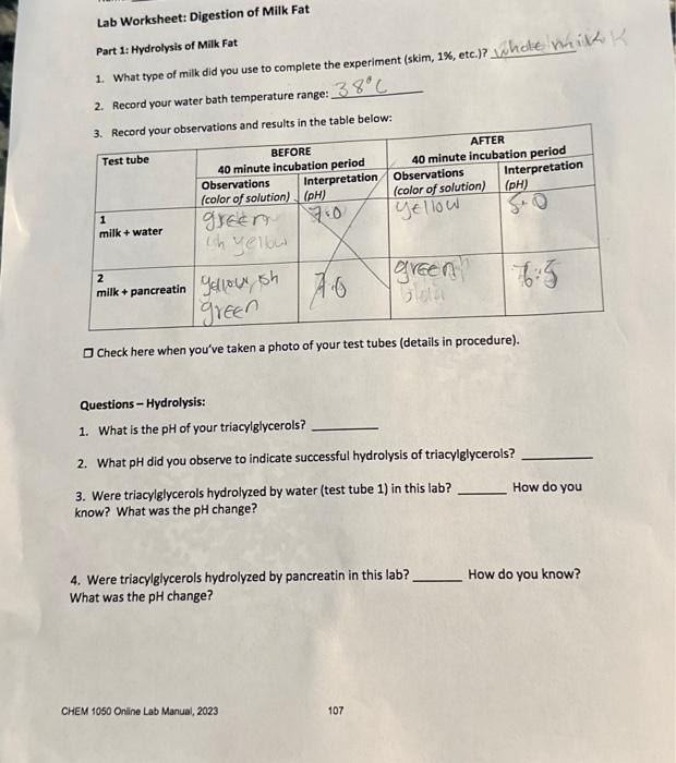 Lab Worksheet: Digestion of Milk Fat Part 1: | Chegg.com