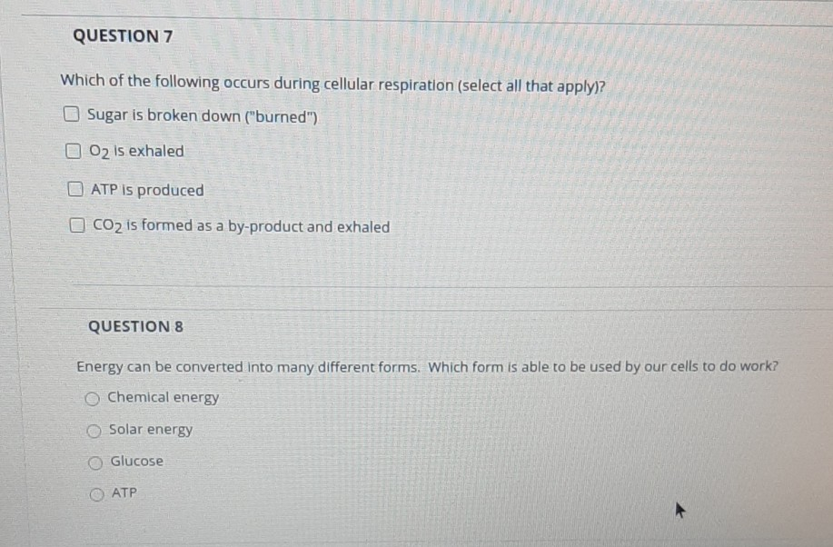 Solved QUESTION 7 Which of the following occurs during | Chegg.com