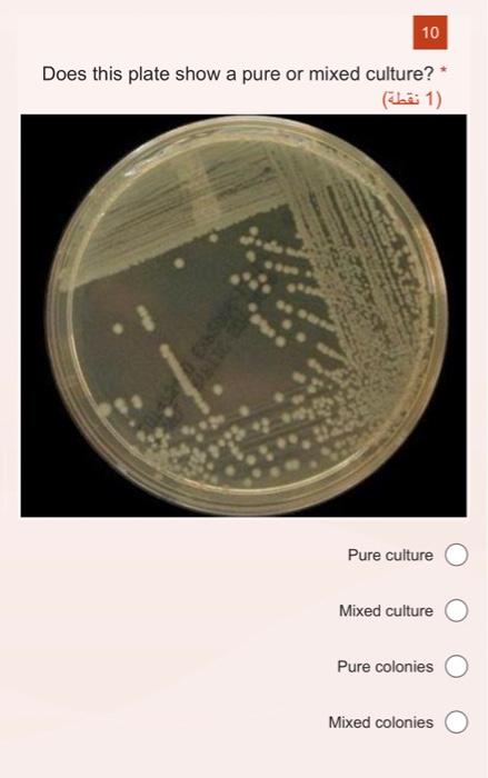 Solved Does this plate show a pure or mixed culture? * (4) | Chegg.com