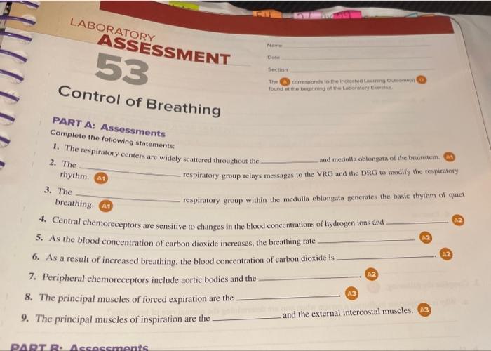 Solved Control of Breathing PART A: Assessments Complete the | Chegg.com
