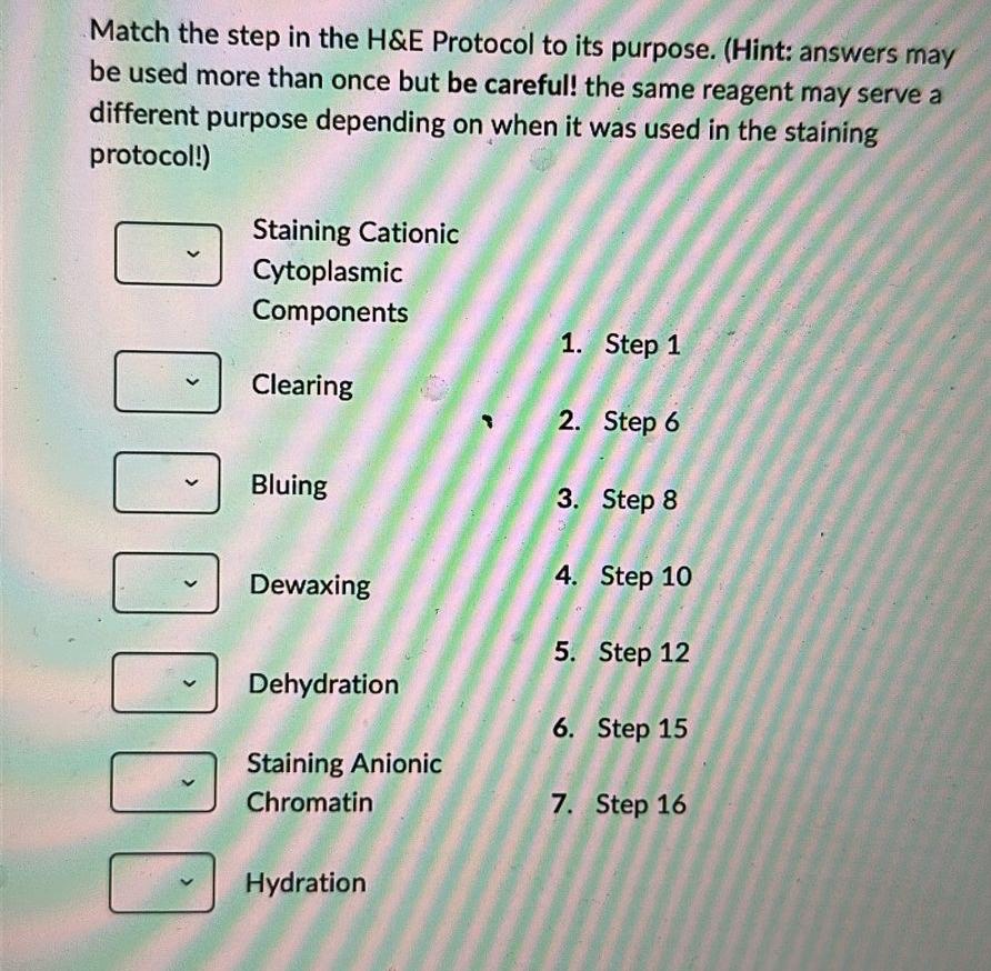Solved Match the step in the H&E Protocol to its purpose. | Chegg.com