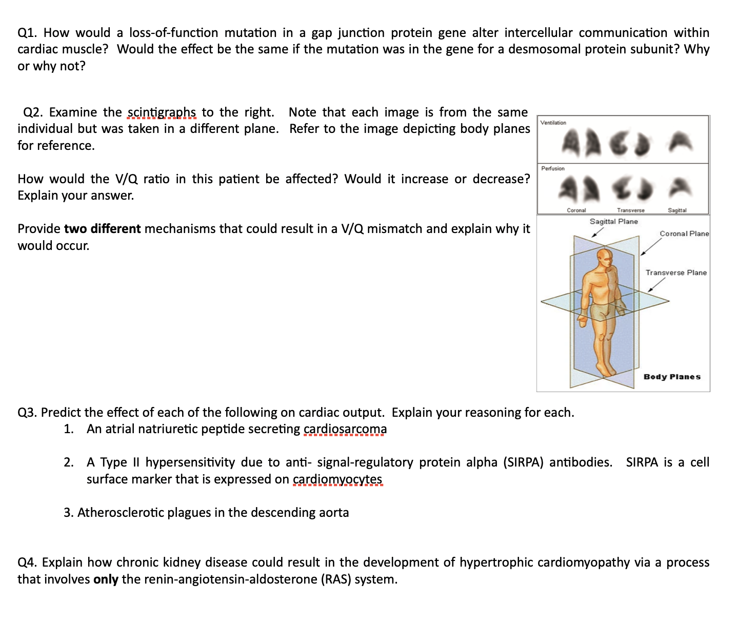 Solved Q1. ﻿How would a loss-of-function mutation in a gap | Chegg.com