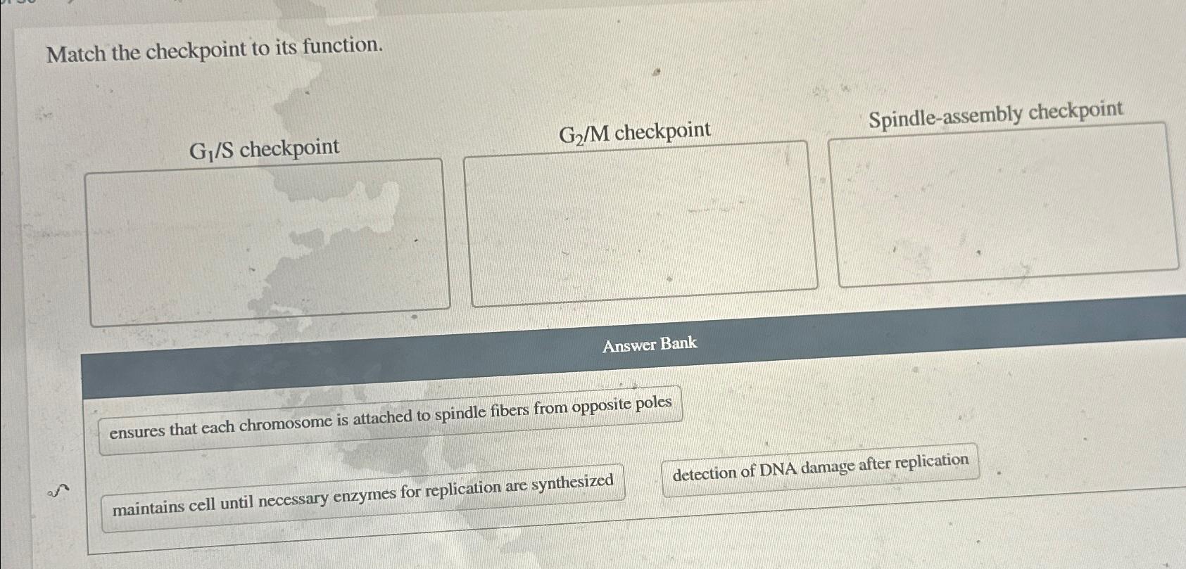 Solved Match the checkpoint to its function.G)/M | Chegg.com