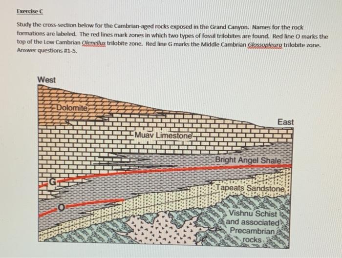 Solved Exercise C Study the cross-section below for the | Chegg.com
