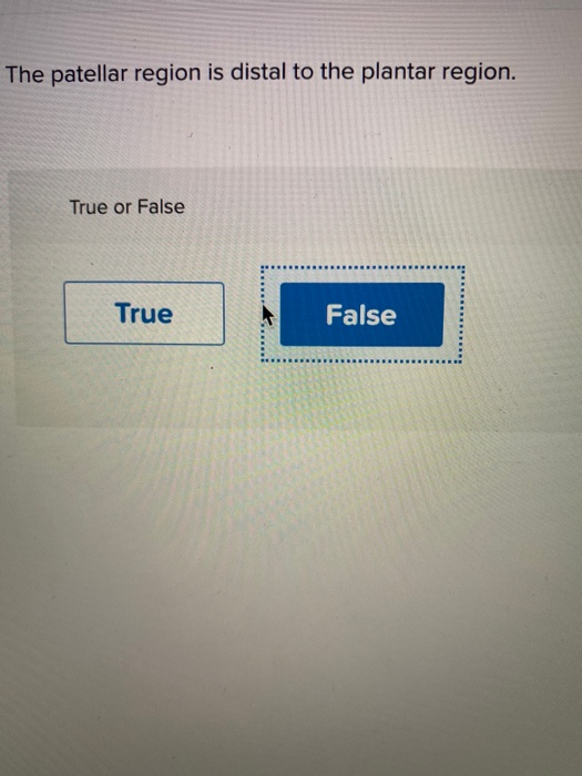 Solved The patellar region is distal to the plantar region. | Chegg.com
