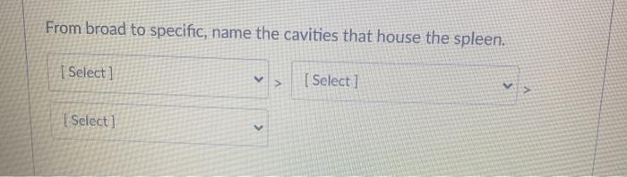 Solved From broad to specific, name the cavities that house | Chegg.com