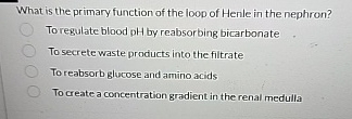 Solved What is the primary function of the loop of Henle in | Chegg.com