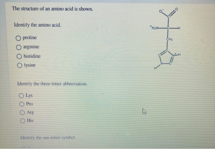 Solved The structure of an amino acid is shown. Identify the | Chegg.com