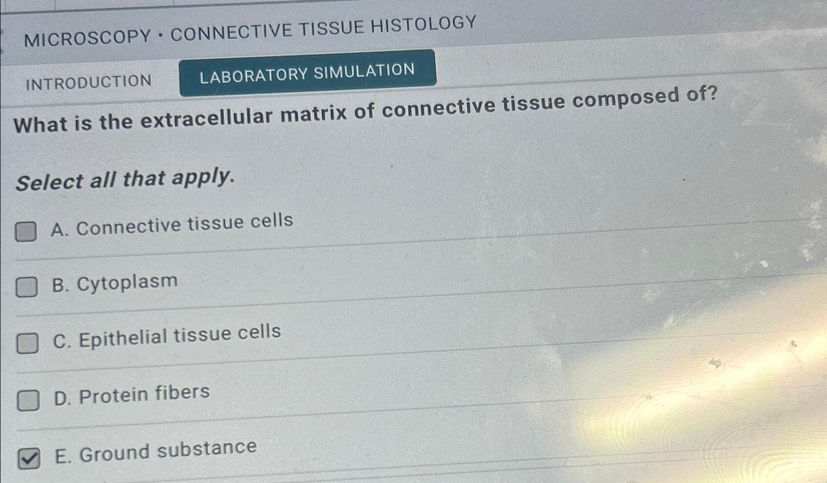 Solved MICROSCOPY * ﻿CONNECTIVE TISSUE | Chegg.com