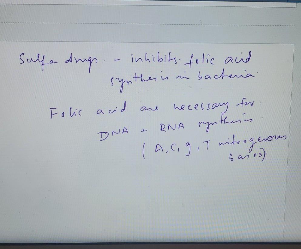 Solved Your Name Experiment Date Expt # 19. Antibiotic Disc | Chegg.com