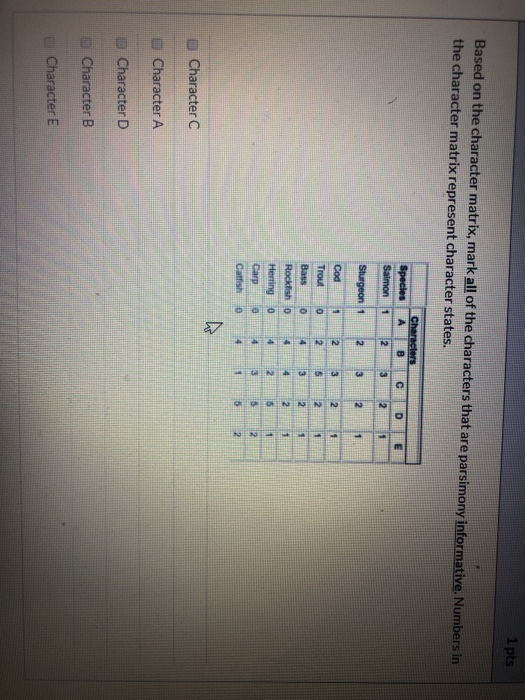 Solved 1 Pts Based On The Character Matrix Mark All Of The