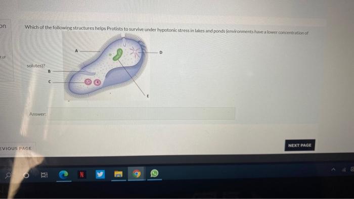 Solved on Which of the following structures helps Protists | Chegg.com