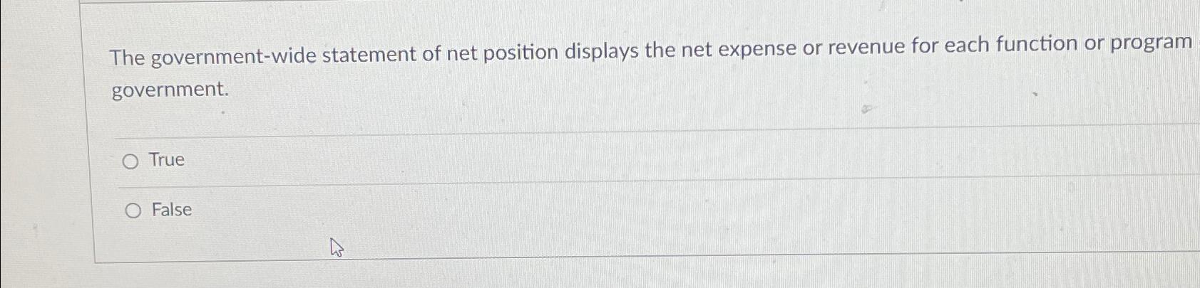 Solved The government-wide statement of net position | Chegg.com