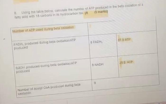 Solved 8. Using the table below. calculate the number of ATP | Chegg.com