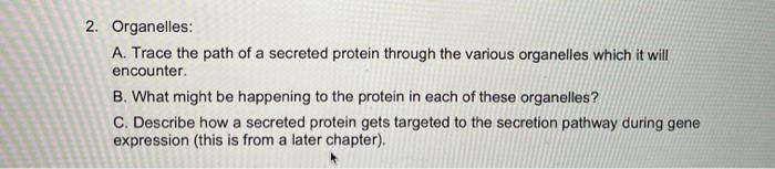 Solved 2. Organelles: A. Trace the path of a secreted | Chegg.com