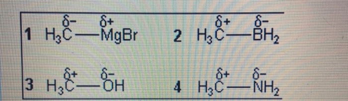 Solved 8+ 1 H3C-MgBr 8+ 2 H3C- -BH2 3 H8_SH 8+ 4 Hąc -NH2 | Chegg.com