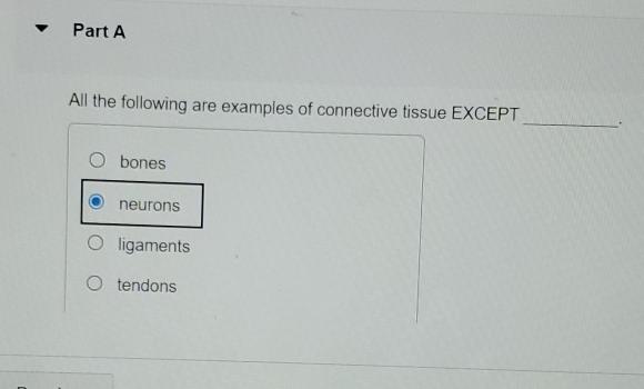 Solved Part AAll the following are examples of connective | Chegg.com