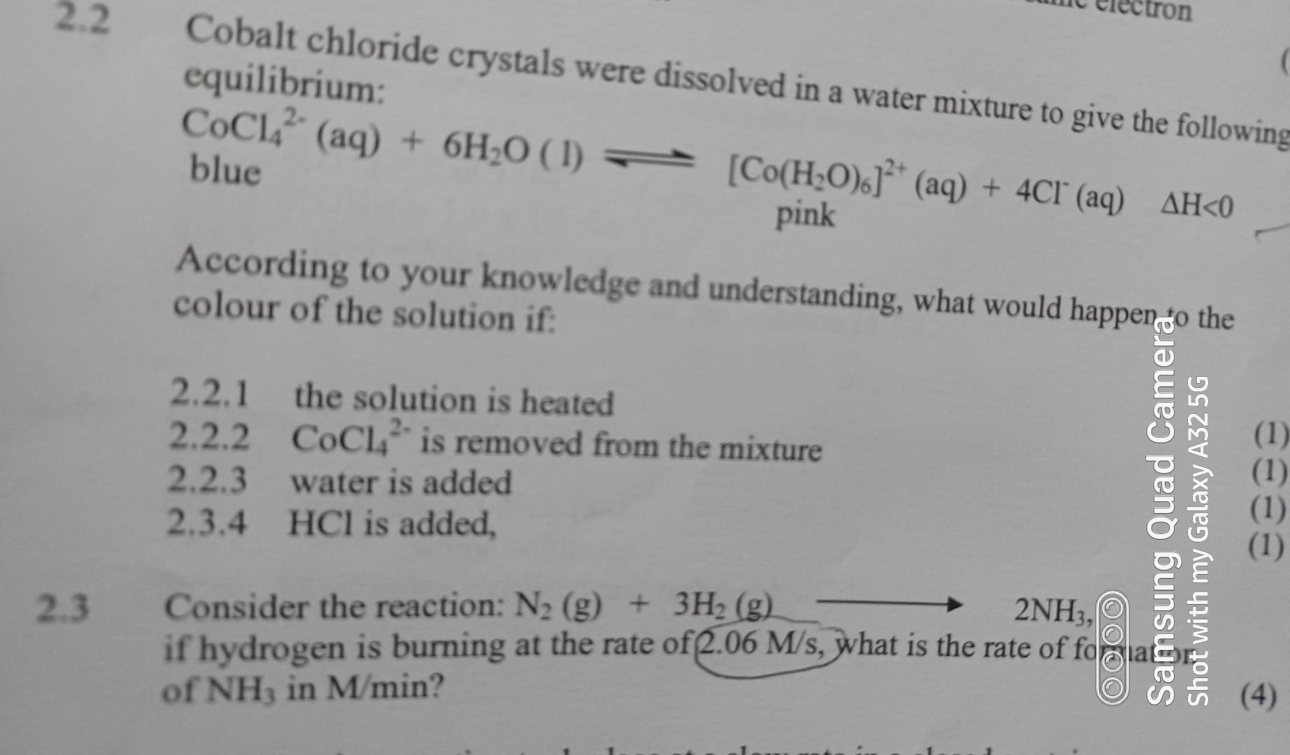 Solved 2.2 Cobalt chloride crystals were dissolved in a | Chegg.com