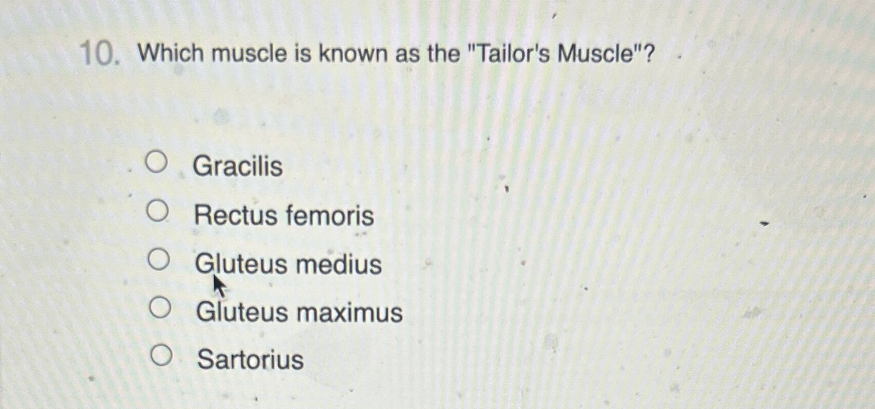 Solved Which muscle is known as the "Tailor's | Chegg.com