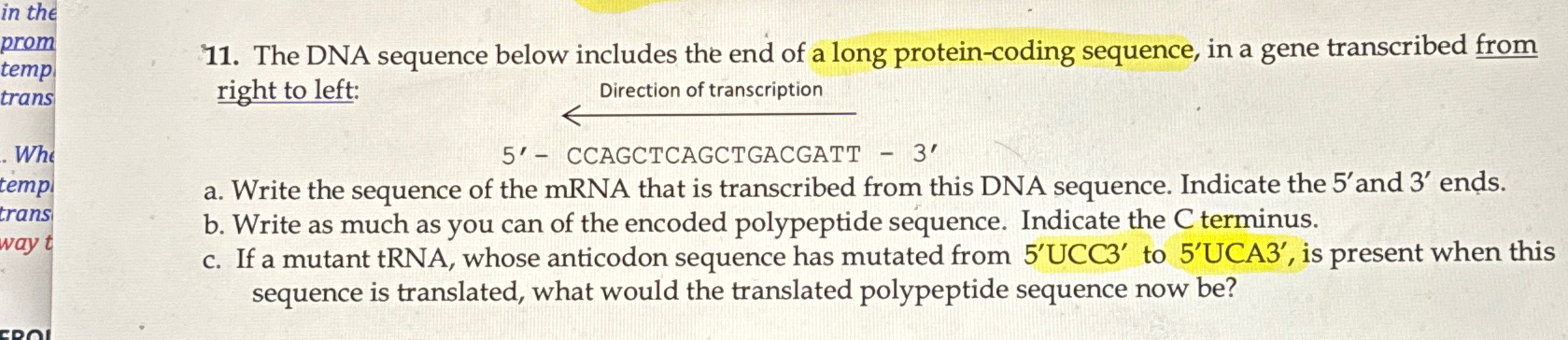 Solved The DNA sequence below includes the end of a long | Chegg.com