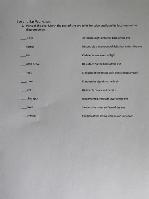 Solved Eye and Ear Worksheet 1. Parts of the eye: Match the | Chegg.com