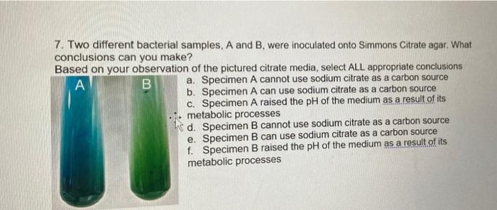 Solved 7. Two different bacterial samples, A and B were | Chegg.com