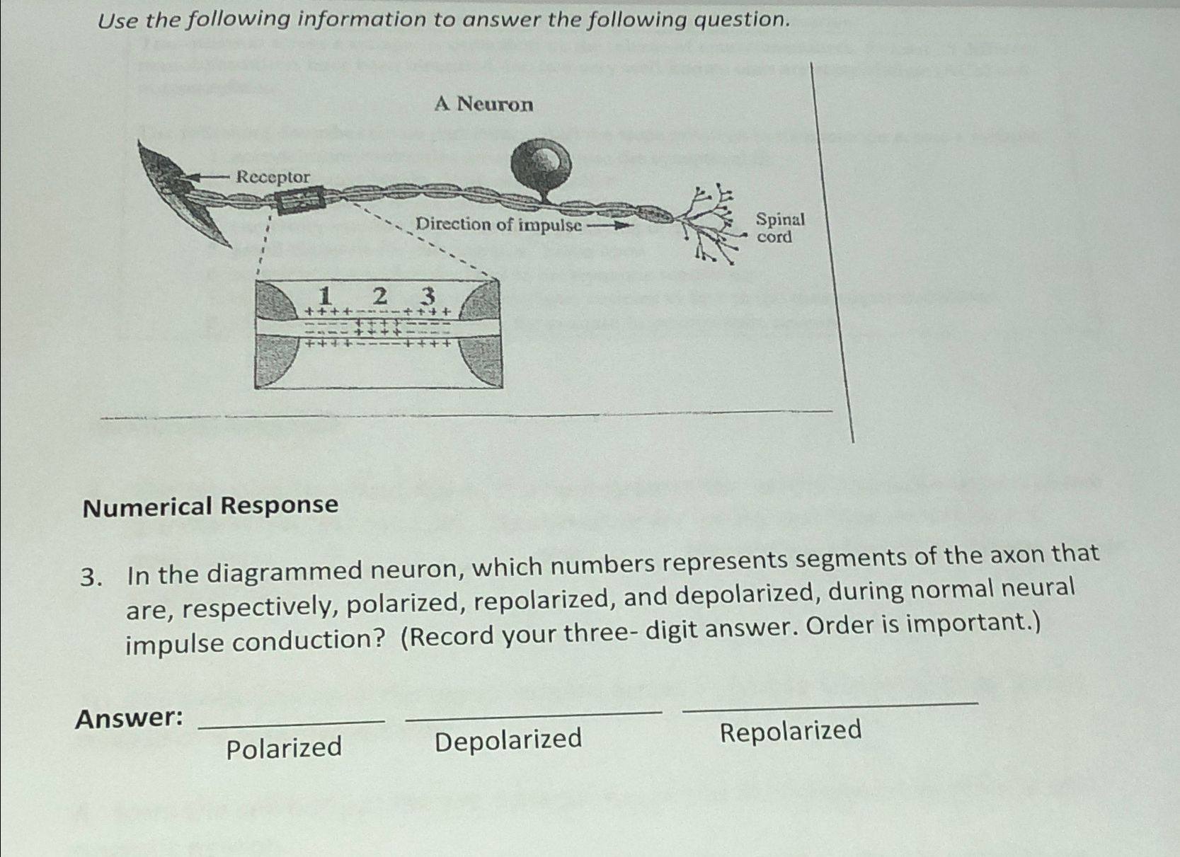 Solved Use the following information to answer the following | Chegg.com