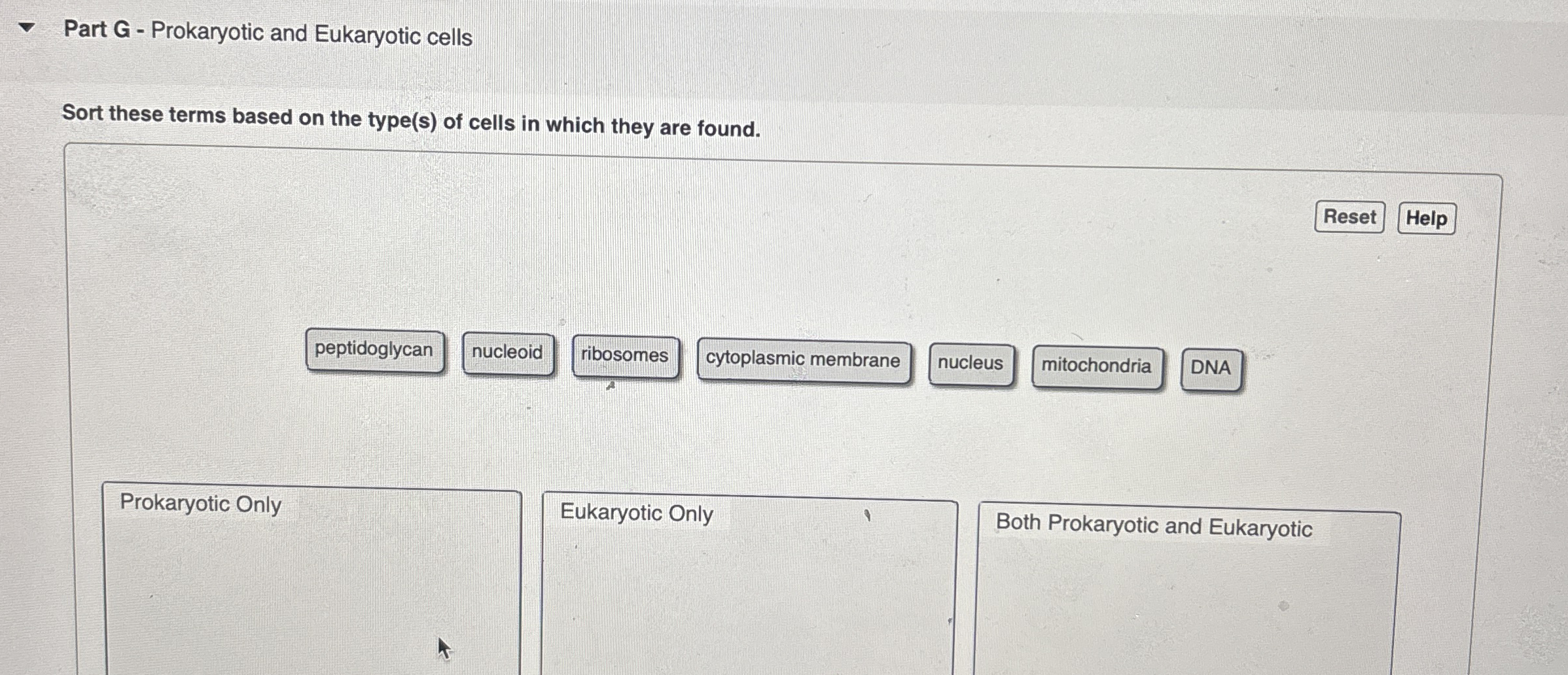 Solved Part G - ﻿Prokaryotic and Eukaryotic cellsSort these | Chegg.com