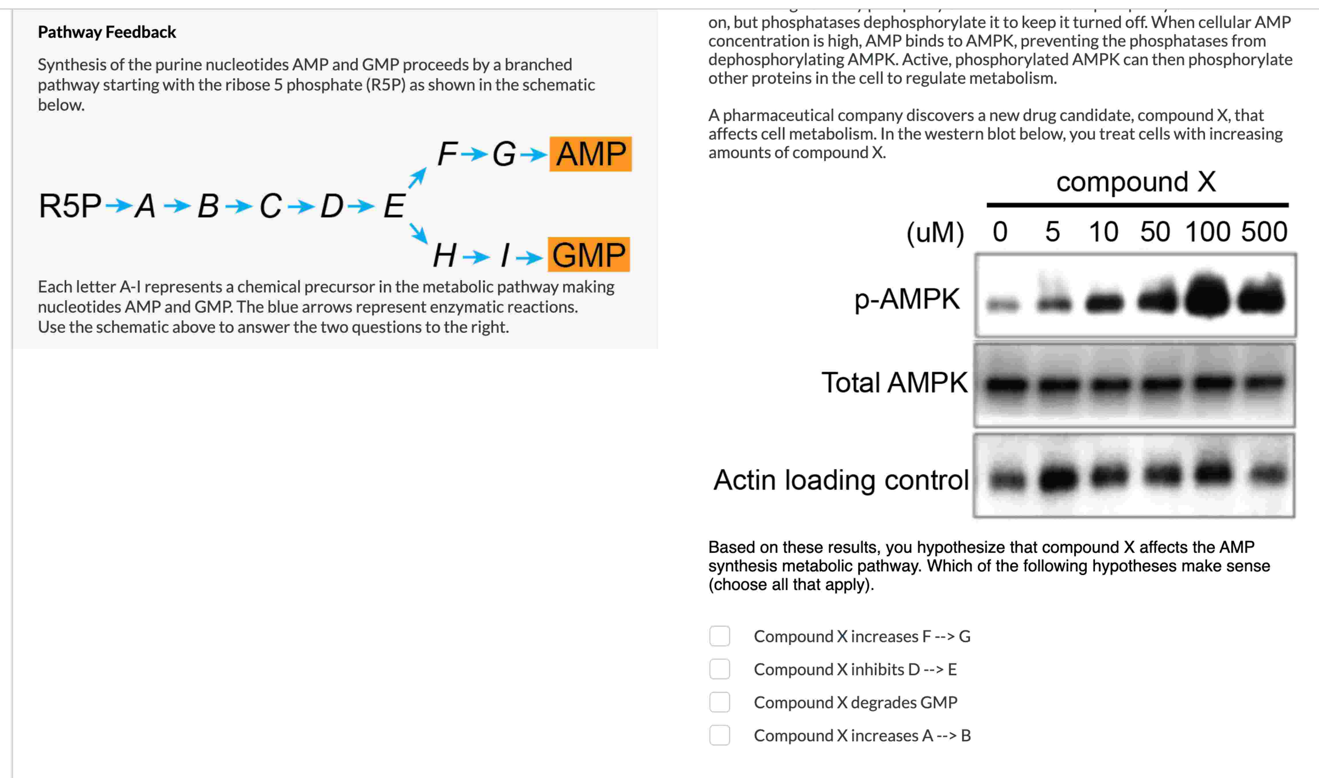 Solved Proteins in the cell sense the intracellular | Chegg.com