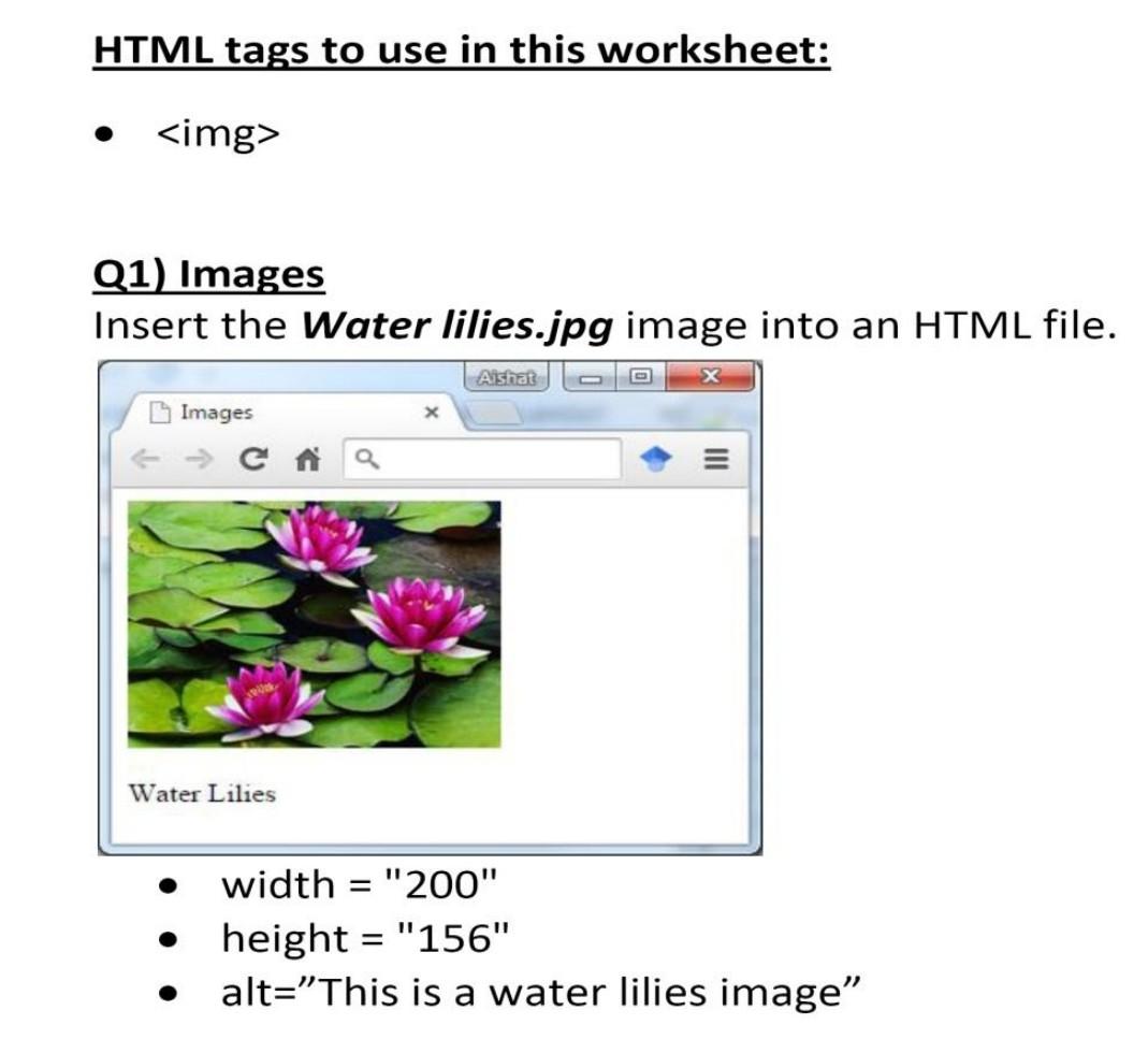 Solved HTML tags to use in this worksheet: Q1) Images | Chegg.com