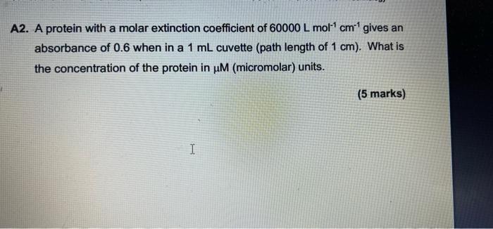 Solved A2. A protein with a molar extinction coefficient of | Chegg.com