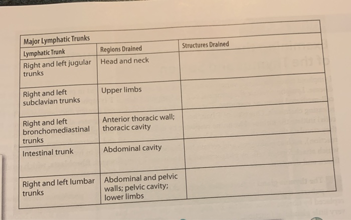 Solved Major Lymphatic Trunks Lymphatic Trunk Regions | Chegg.com