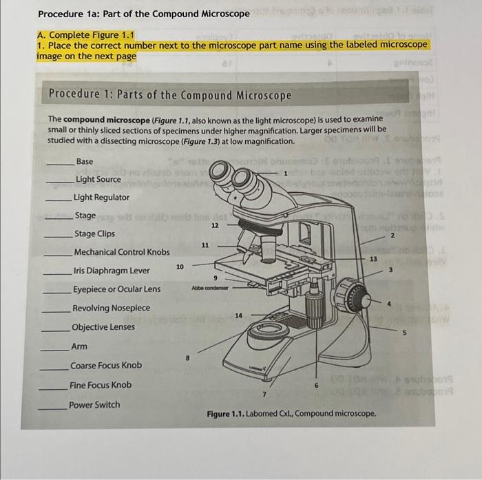 Procedure 1a: Part of the Compound Microscope A. | Chegg.com