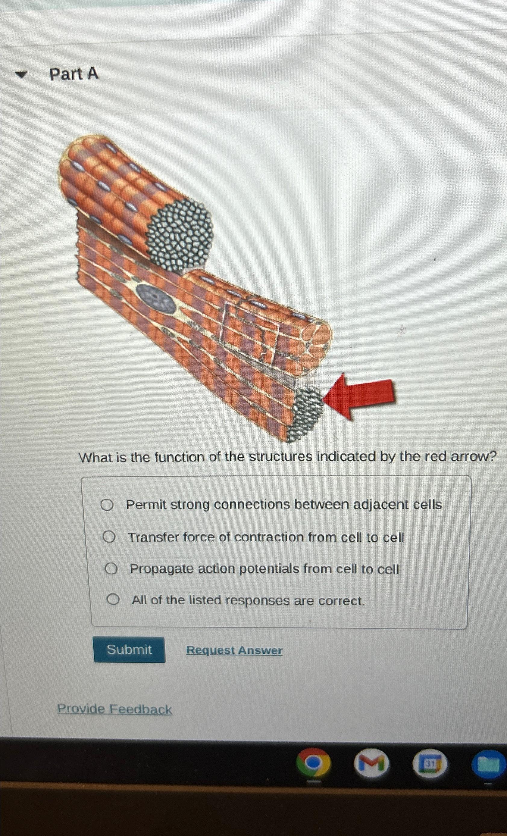 Solved Part AWhat is the function of the structures | Chegg.com