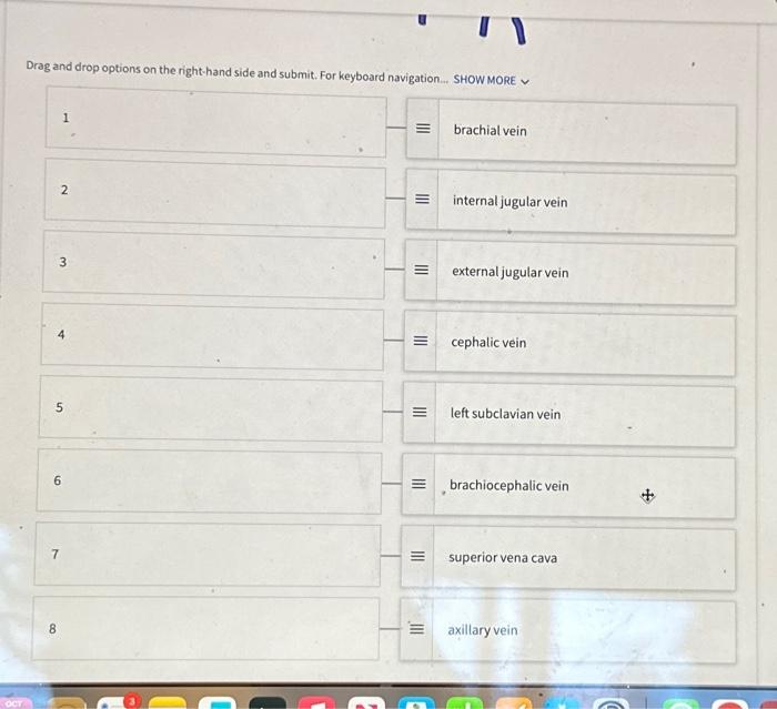 Solved Match the names of the veins next to each | Chegg.com