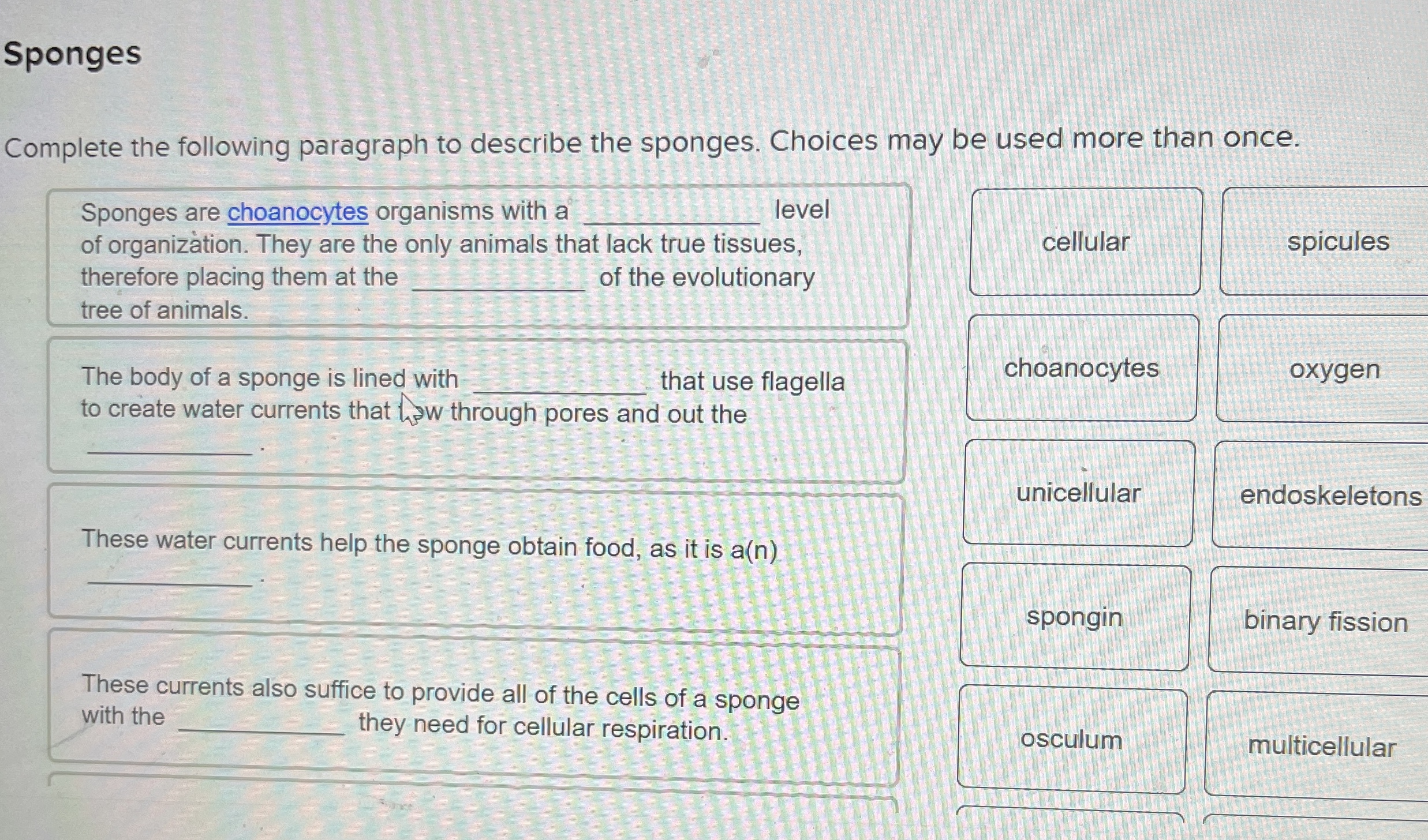 Solved SpongesComplete the following paragraph to describe | Chegg.com