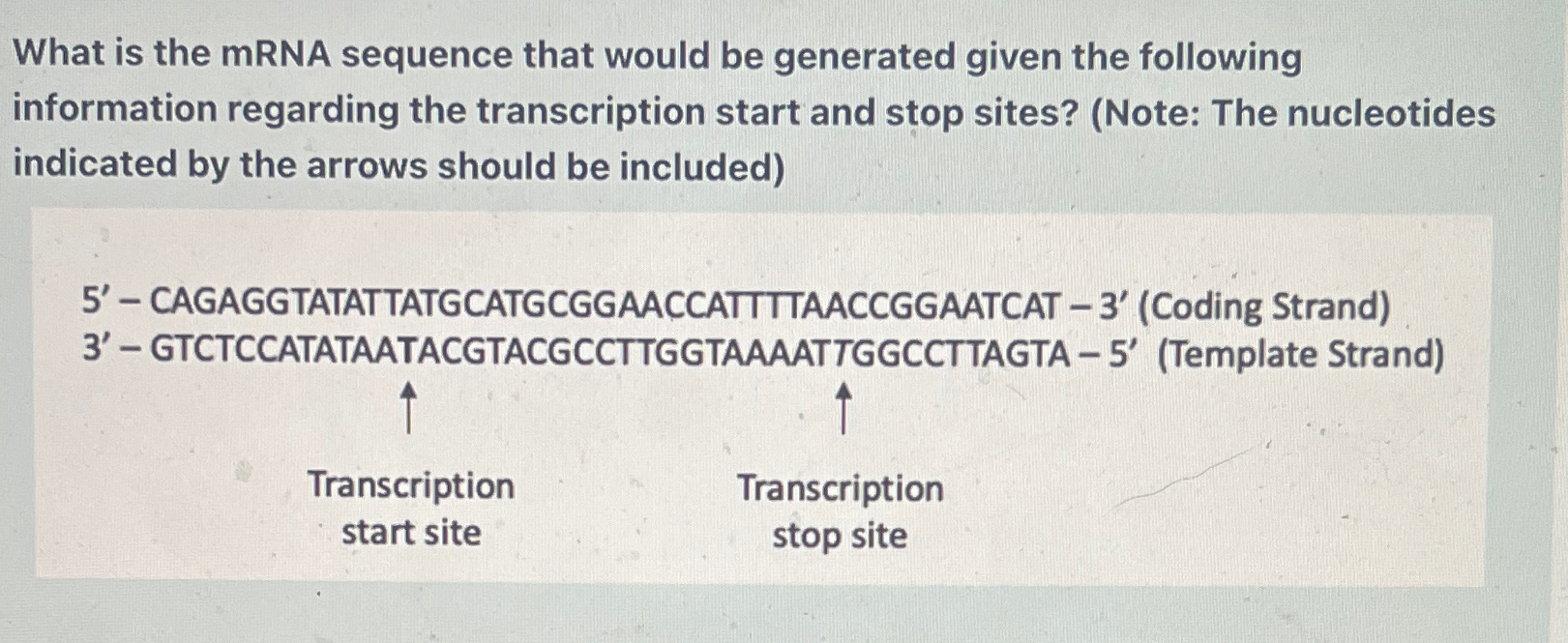 Solved What is the mRNA sequence that would be generated | Chegg.com